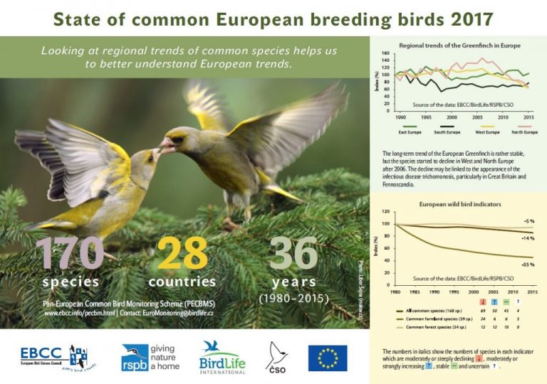 Brochures and leaflets | PECBMS - PECBMS