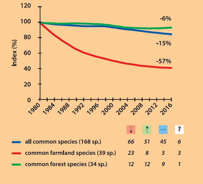 New leaflet State of common European breeding birds 2018 produced ...
