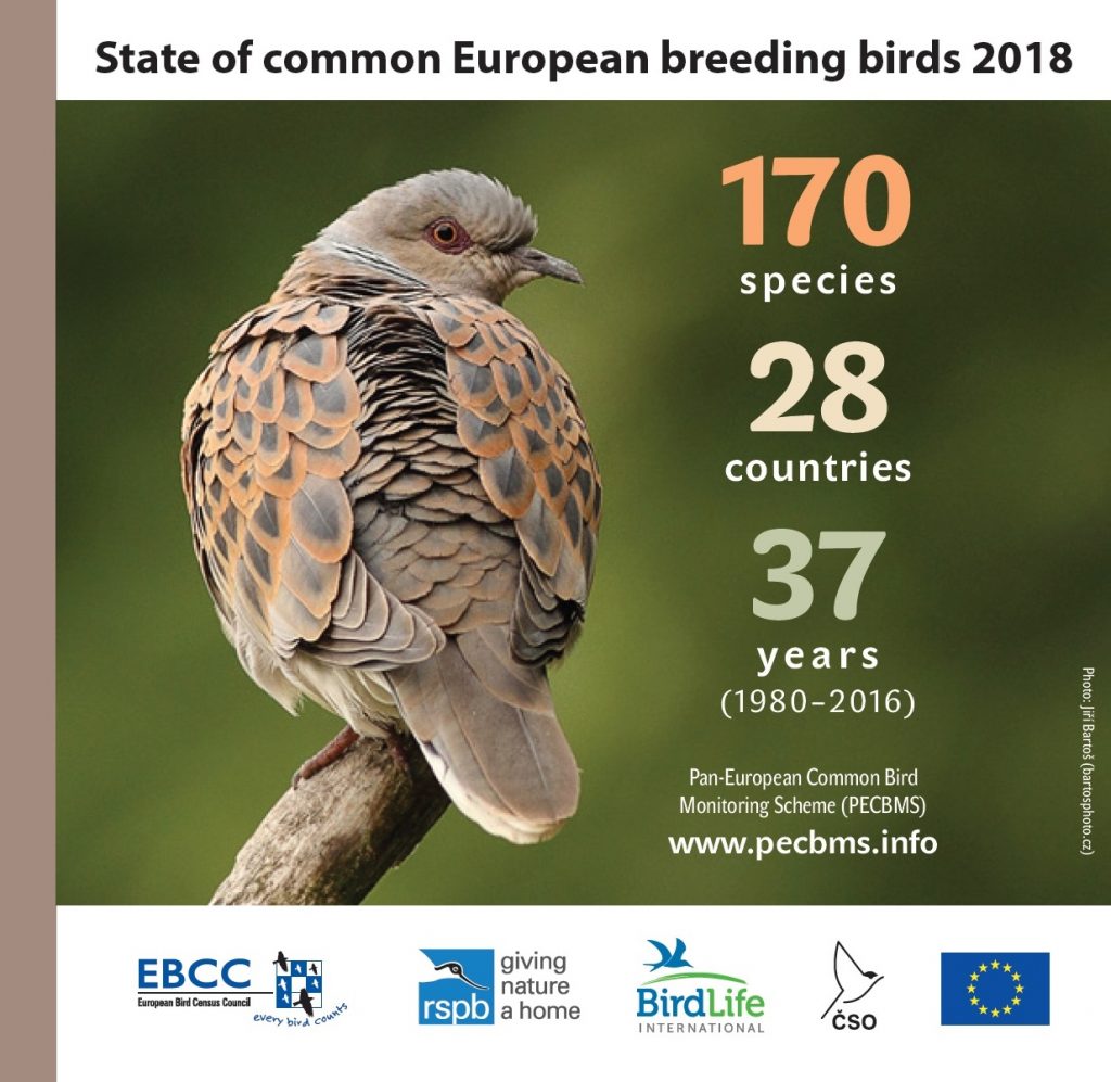 Brochures and leaflets | PECBMS - PECBMS