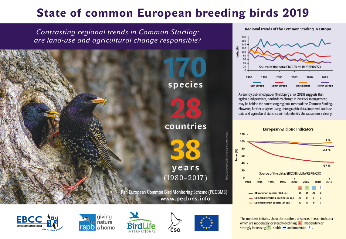 Brochures and leaflets | PECBMS - PECBMS