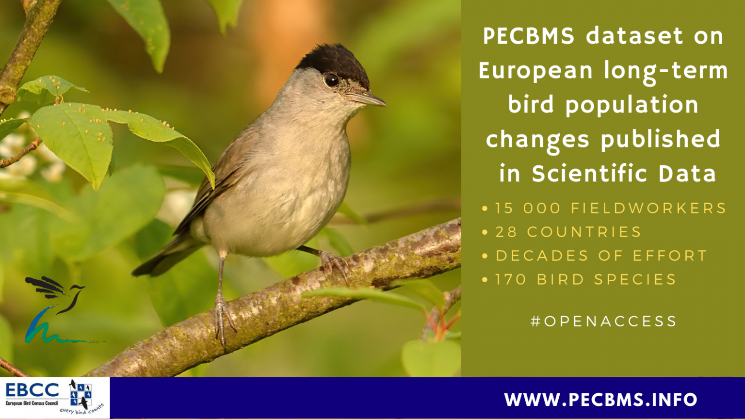 Report on the Pan-European Common Bird Monitoring Scheme, June 2021 ...