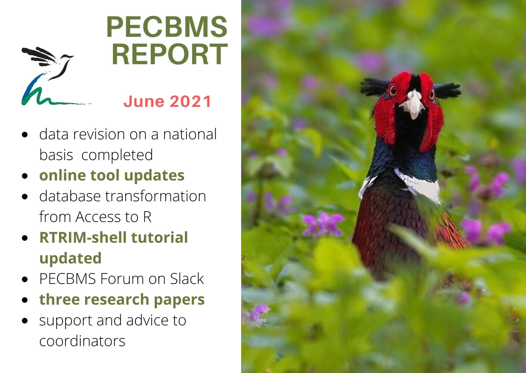 Report on the Pan-European Common Bird Monitoring Scheme, June 2021 ...
