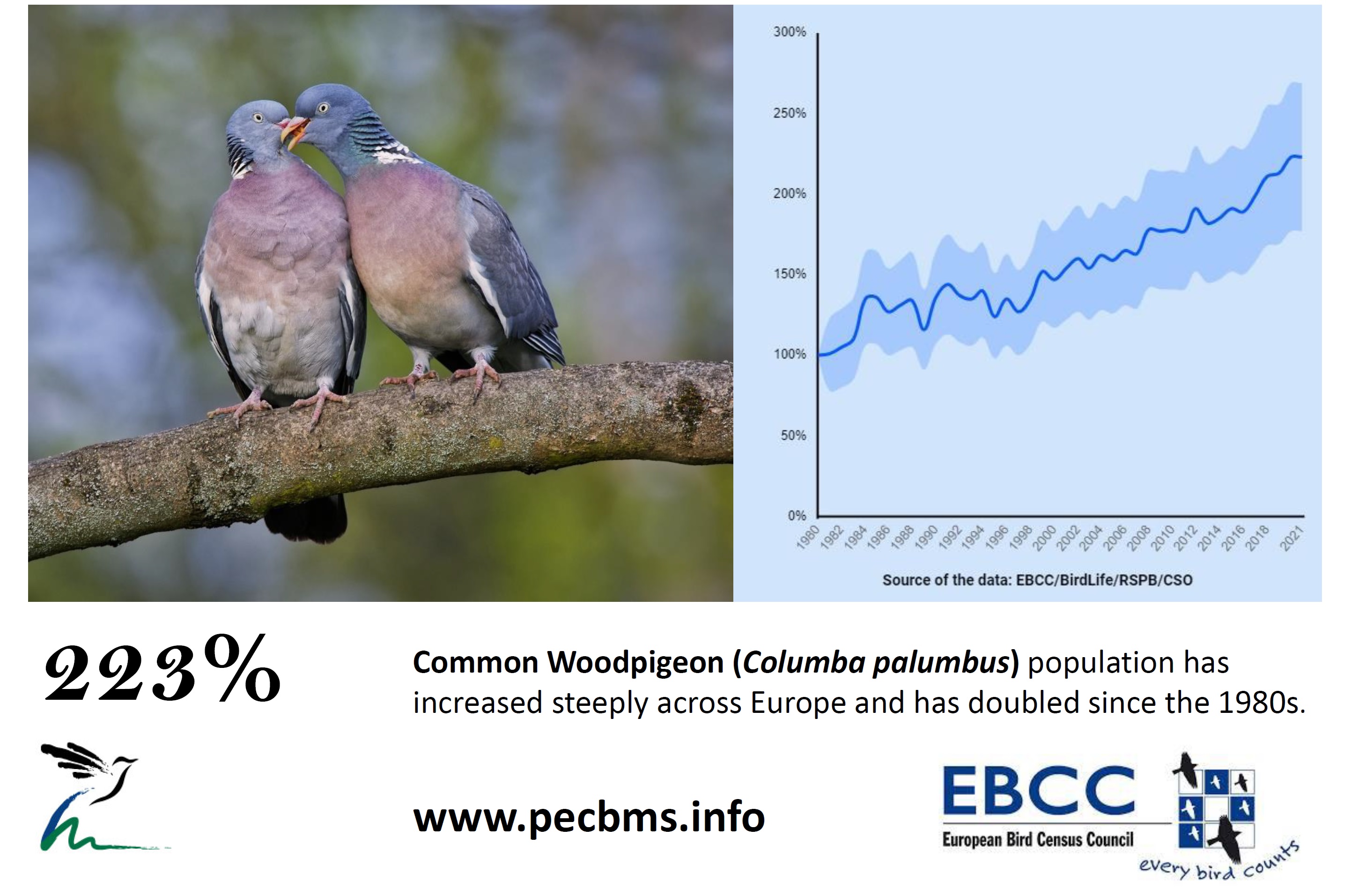 Report on the Pan-European Common Bird Monitoring Scheme, February 2023 ...