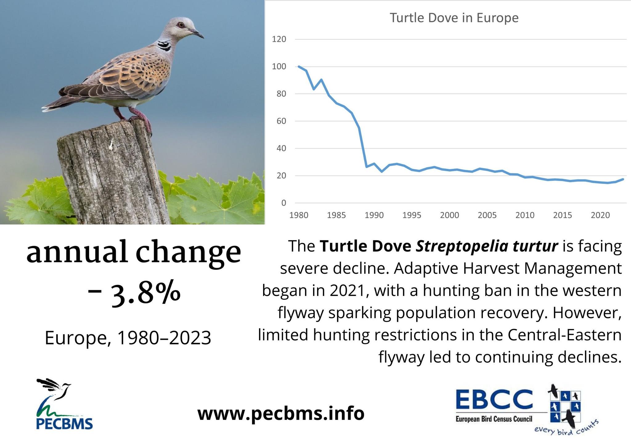 Report on the Pan-European Common Bird Monitoring Scheme, May 2025 ...